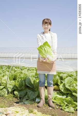 人物 収穫 女性の写真素材 [1406866] - PIXTA