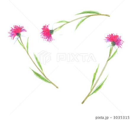 花 背景素材 花柄のイラスト素材 [3035315] - PIXTA