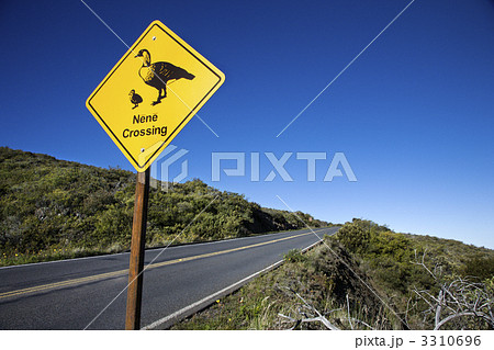 Nene Crossing sign in Maui, Hawaii.の写真素材 [3310696] - PIXTA