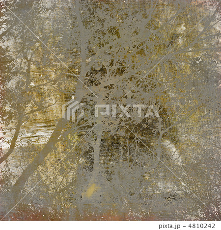 art grunge forest background cardのイラスト素材 [4810242] - PIXTA