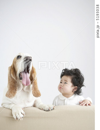 赤ちゃんとバセットハウンドの写真素材 [5193038] - PIXTA