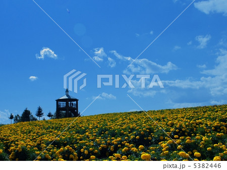 富良野の絶景の写真素材 [5382446] - PIXTA