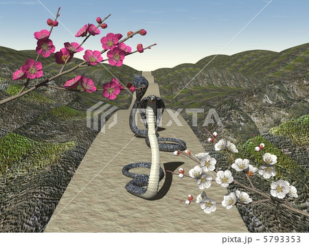 年賀5dのイラスト素材 [5793353] - PIXTA