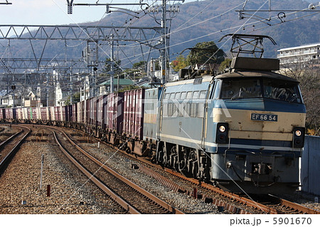 EF66 54号機 新更新色 コンテナ貨物列車の写真素材 [5901670] - PIXTA