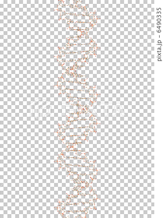 DNA stick model, white background - Stock Illustration [6490335] - PIXTA