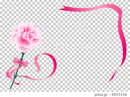 Carnation 7 - Stock Illustration [6955336] - PIXTA