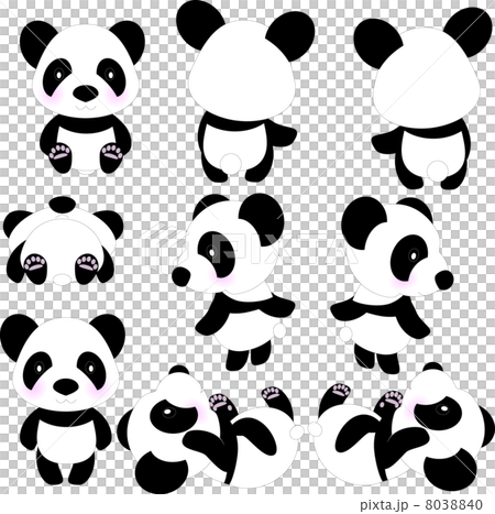 Various angles of the panda - Stock Illustration [8038840] - PIXTA