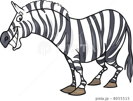 cartoon zebraのイラスト素材 [8055515] - PIXTA