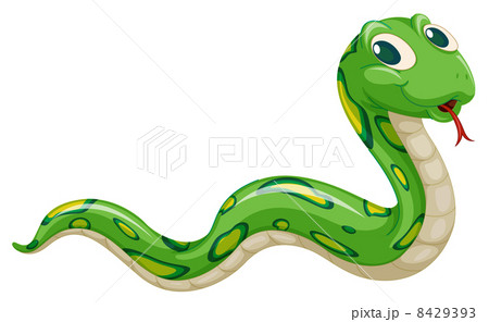 snakeのイラスト素材 [8429393] - PIXTA