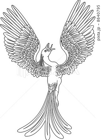 Monochrome phoenixのイラスト素材 [8640795] - PIXTA