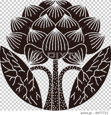 Rotary flowers - Stock Illustration [8977722] - PIXTA