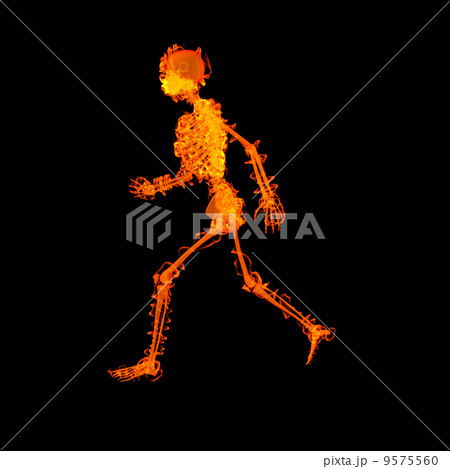 walking skeleton by X-rays in red - side viewのイラスト素材 [9575560] - PIXTA