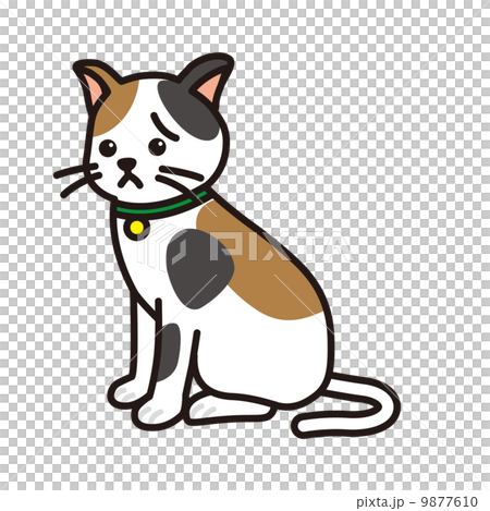 Embarrassed face cat - Stock Illustration [9877610] - PIXTA