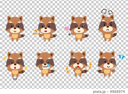 Raccoon Animal pose facial expression - Stock Illustration [9988974 ...