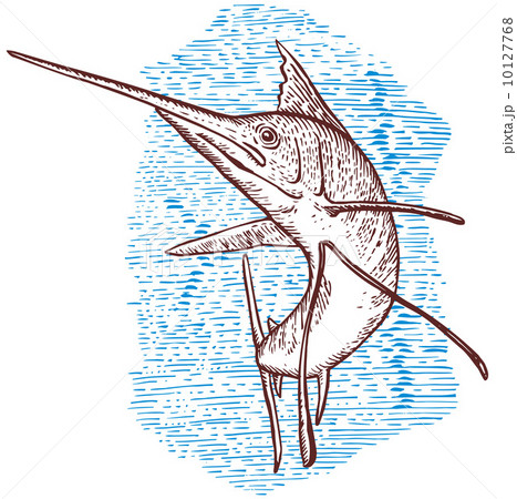 Sailfish Outline Sailfish Signed Art Print – Harden Studios