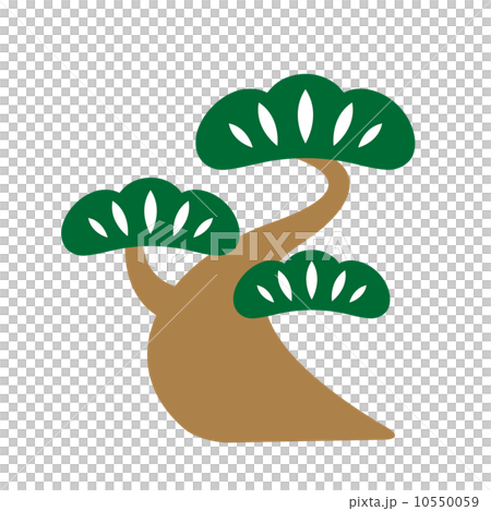 Pine Botanical Japanese wood luck - Stock Illustration [10550059] - PIXTA