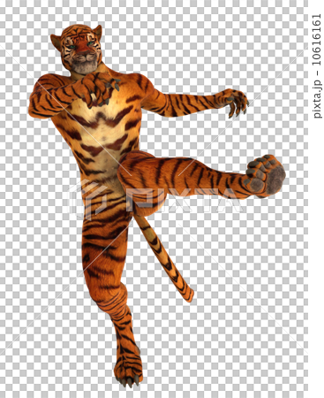 Tiger man - Stock Illustration [10616161] - PIXTA