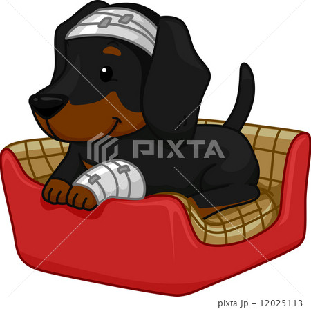 First Aid Dogのイラスト素材 [12025113] - PIXTA