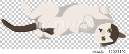 Rolling cat - Stock Illustration [12323192] - PIXTA