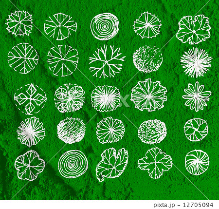 Trees top view for architecture landscape...のイラスト素材 [12705094] - PIXTA