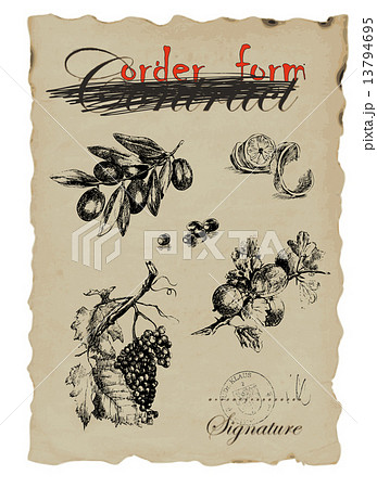 order form - fruitsのイラスト素材 [13794695] - PIXTA