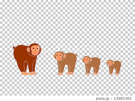 Monkey 4 - Stock Illustration [13905365] - PIXTA