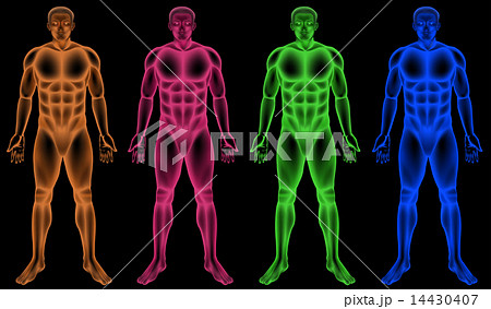 Male coloured bodiesのイラスト素材 [14430407] - PIXTA