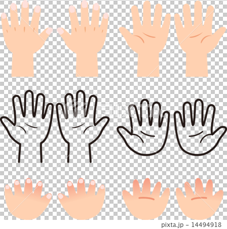 Palm and back of the hand - Stock Illustration [14494918] - PIXTA