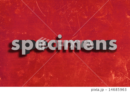 specimens word on red wallのイラスト素材 [14685963] - PIXTA