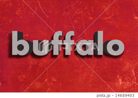 buffalo word on red wallのイラスト素材 [14689403] - PIXTA