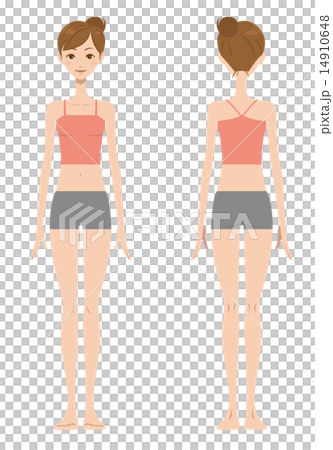Female whole body - Stock Illustration [14910648] - PIXTA