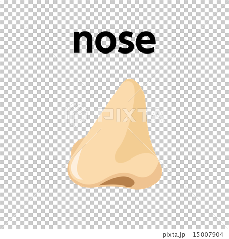 English word 1 _ nose _ 16/25 - Stock Illustration [15007904] - PIXTA