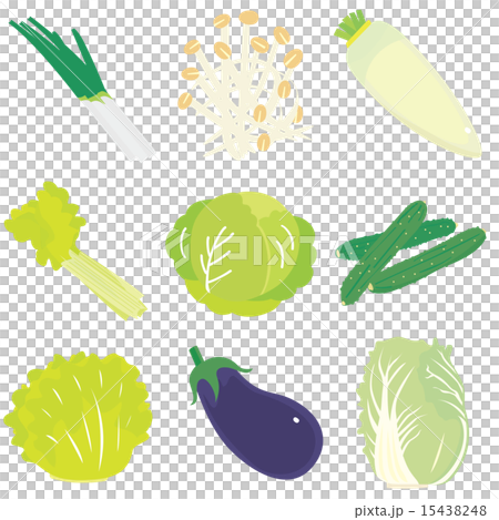 Light gray vegetables 9 kinds set - Stock Illustration [15438248] - PIXTA
