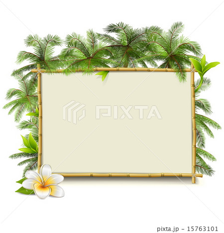 Vector Bamboo Frame with Palm 15763101 PIXTA