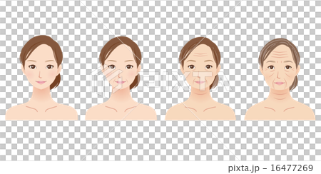 Female aging - Stock Illustration [16477269] - PIXTA