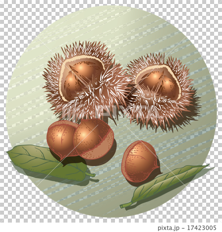 Bamboo (Wakakusa color background) - Stock Illustration [17423005] - PIXTA