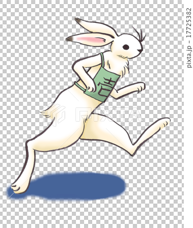 A marathon rabbit - Stock Illustration [17725382] - PIXTA