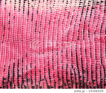 Pink lizard skin, abstract texture for background. | materials ...
