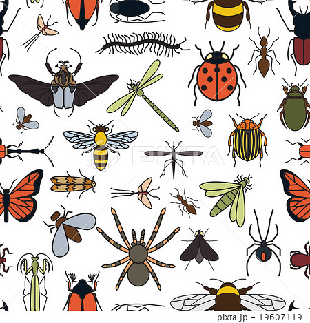 Insects seamless pattern. 24 pieces in set.のイラスト素材 [19607119] - PIXTA