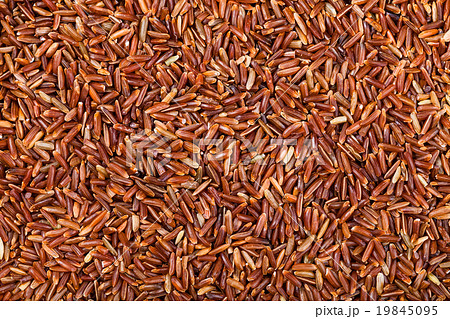 long grain Red Kernel riceの写真素材 [19845095] - PIXTA