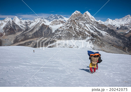Porter carrying heavy loads in Himalayas of Nepalの写真素材 [20242075] - PIXTA