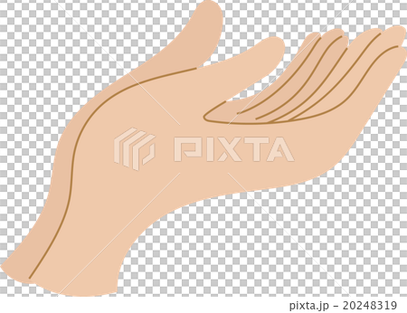 both hands - Stock Illustration [20248319] - PIXTA