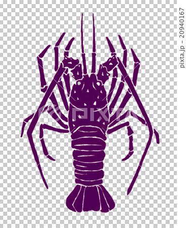 Ise shrimp illustration - Stock Illustration [20940167] - PIXTA