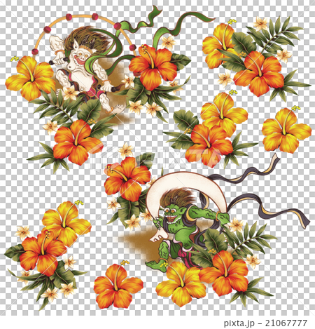 Hibiscus and Fujin Raijin illustration - Stock Illustration [21067777 ...