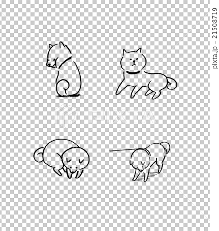 Shiba Inu line drawing - Stock Illustration [21508719] - PIXTA