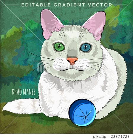 Khao Manee Cat Illustrationのイラスト素材 [22371723] - PIXTA