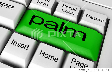 palm word on keyboard buttonのイラスト素材 [22404631] - PIXTA