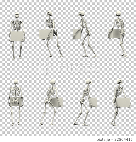 3DCG Human skeleton lifting posture set 45 degrees - Stock Illustration ...