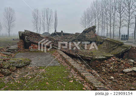 ビルケナウ第二強制収容所の破壊されたガス室「クレマトリウム」の写真素材 [22909154] - PIXTA