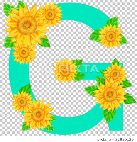 Sunflower _ Alphabet _ G - Stock Illustration [22950129] - PIXTA